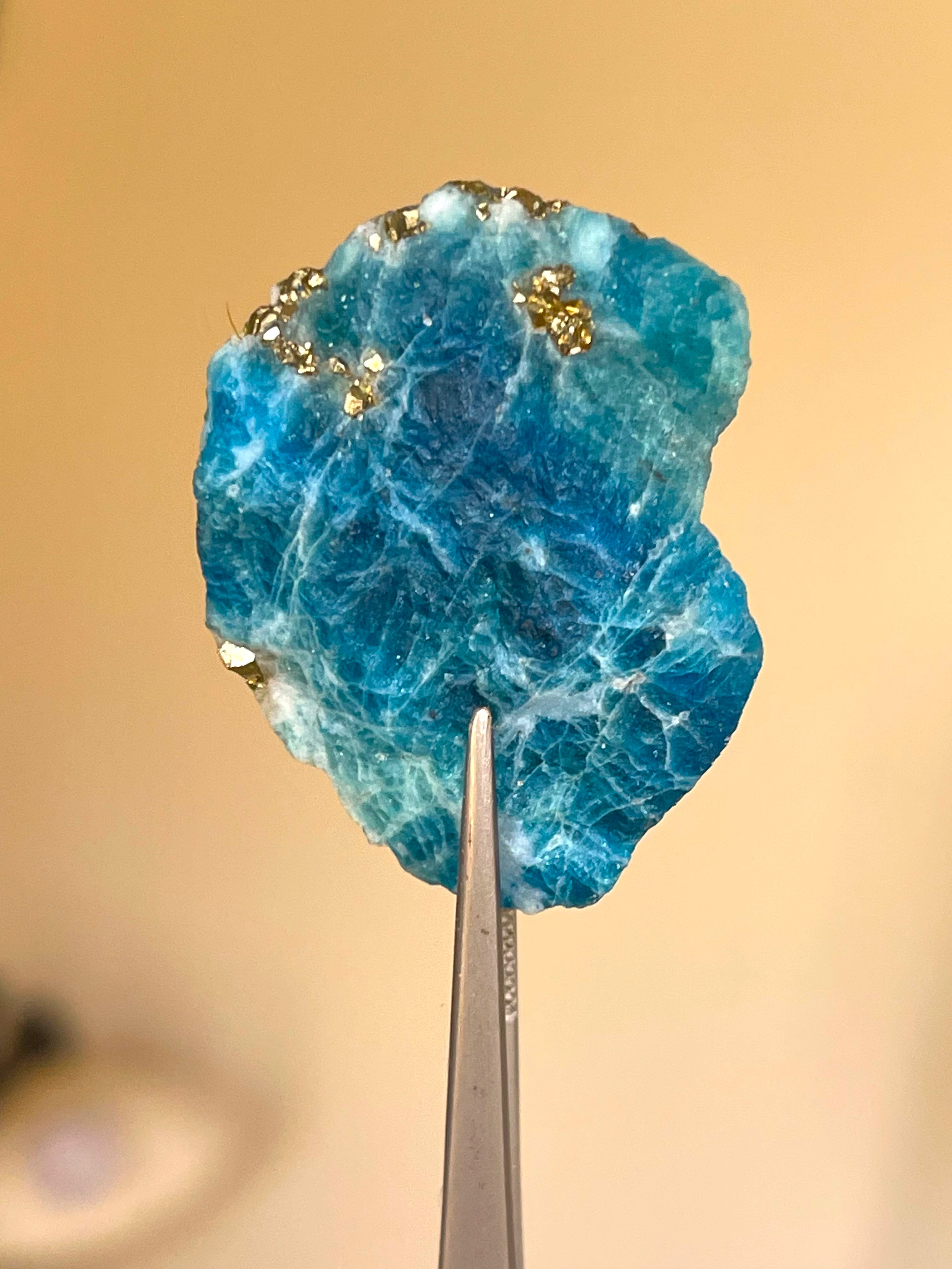 17 grams Rare Haüyne / Sodalite with Golden Pyrites Flakes Specimen ...